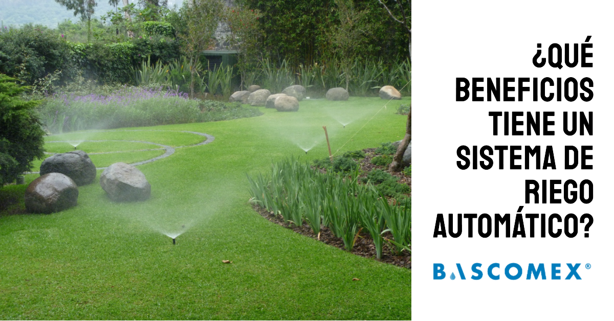 ¿Qué beneficios tiene un sistema de riego automático? – BASCOMEX